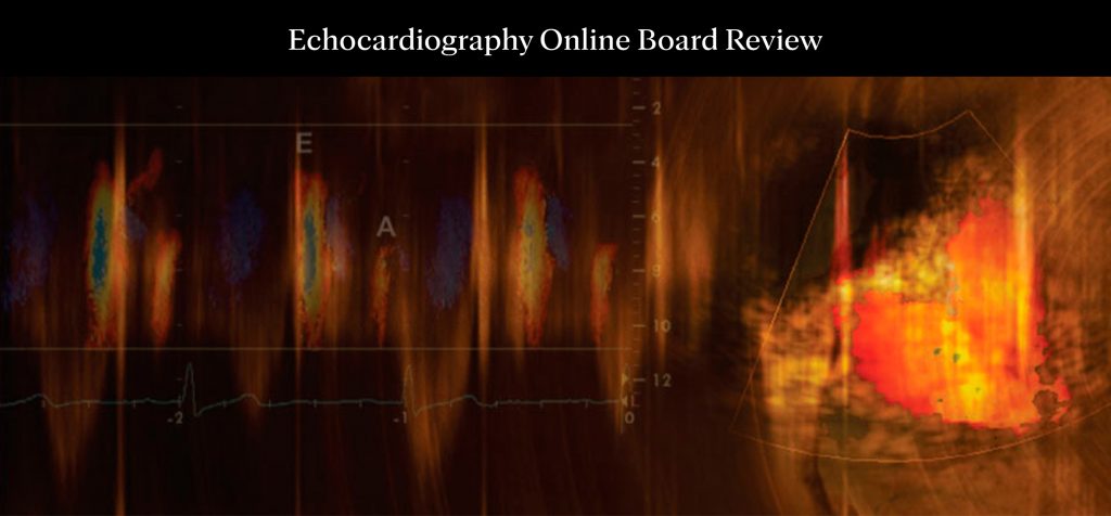 Mayo Clinic Echocardiography Online Board Review Course 2022 - Course ...