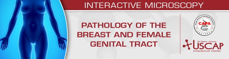 USCAP Pathology of the Breast and Female Genital Tract 2025 - Course ...